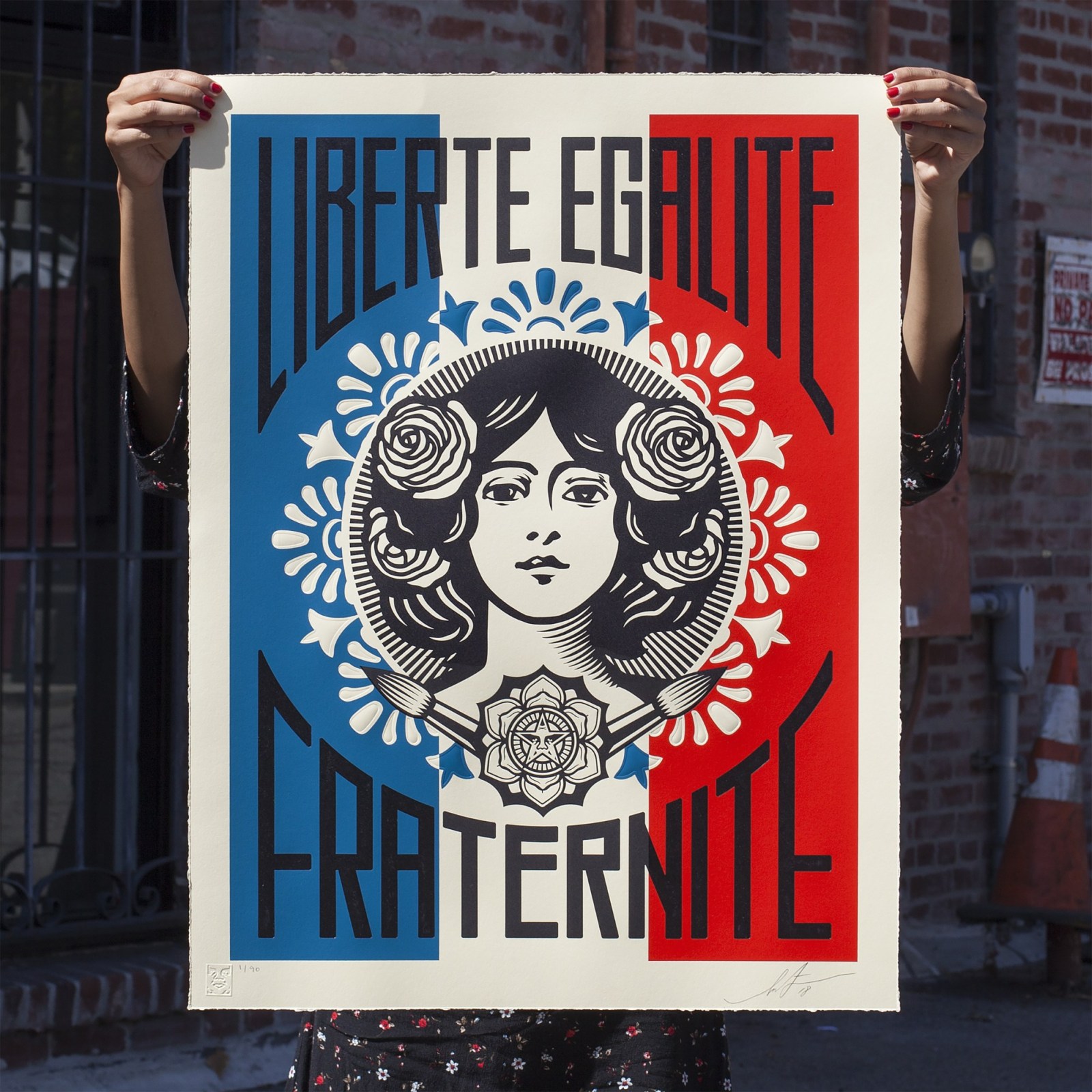 Shepard Fairey, un street artist mondialement connu - Emilie BRIOSCA